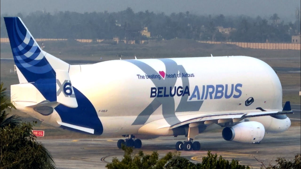 Airbus Beluga XL 6 landing and take off from Kolkata Airport/plane ...