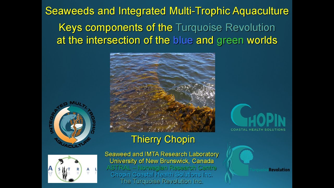 Seaweeds and Integrated Multi-Trophic Aquaculture : Keys components of ...