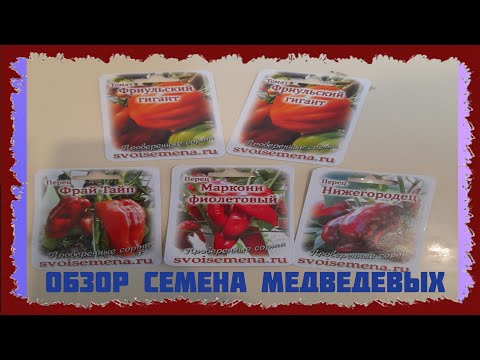 Обзор семена Медведева - YouTube