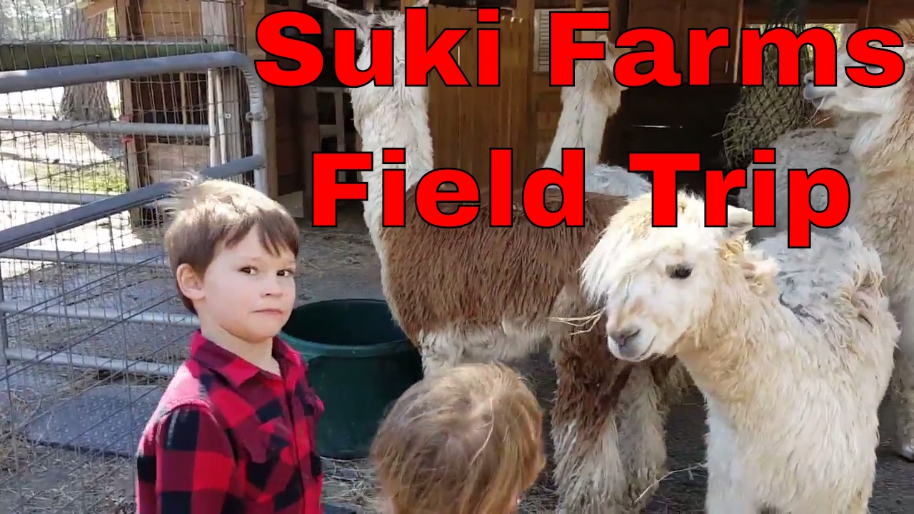 Field Trip to "Suki Farms" - YouTube