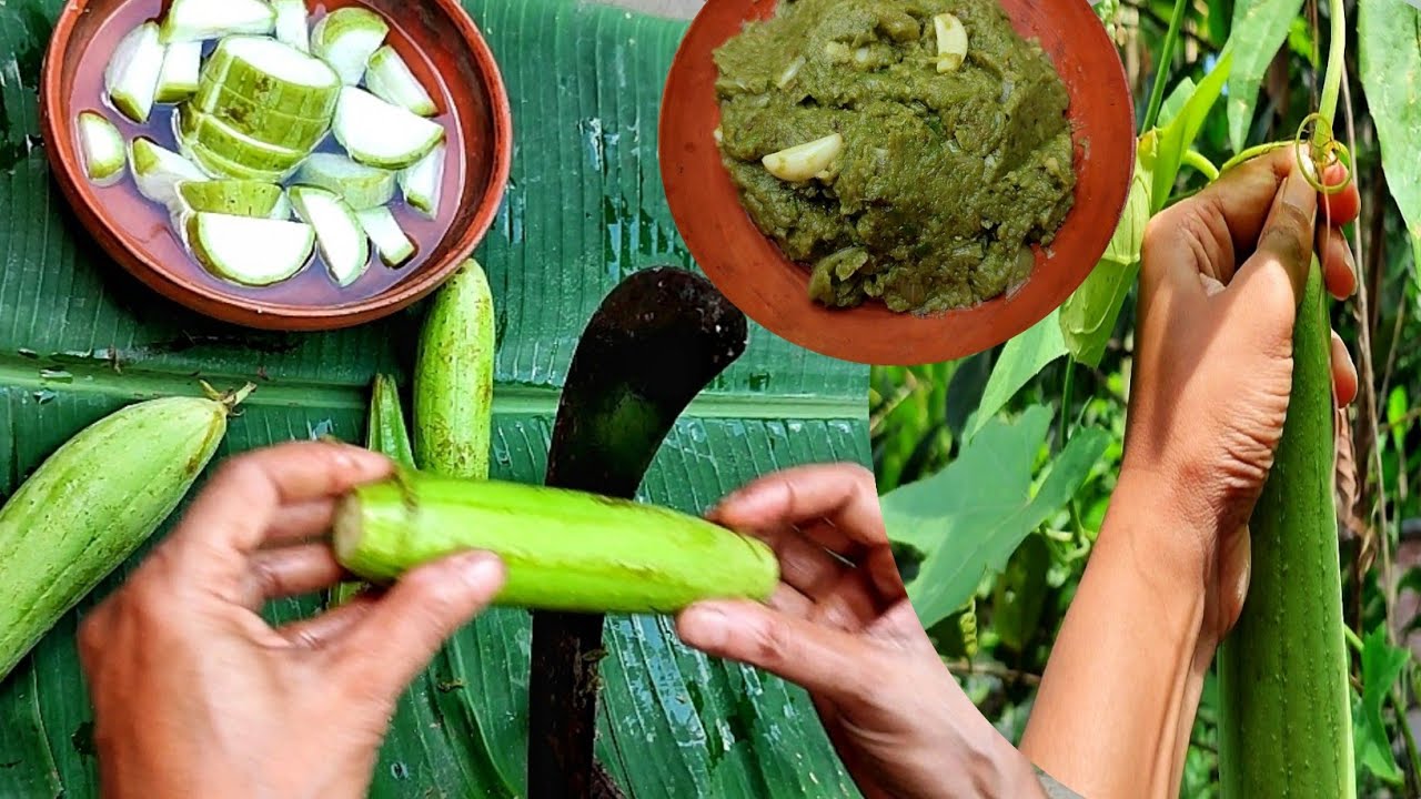 Dhundol vorta recipe//luffa groud recipe।। ধুন্দল ভর্তা রেসিপি - YouTube