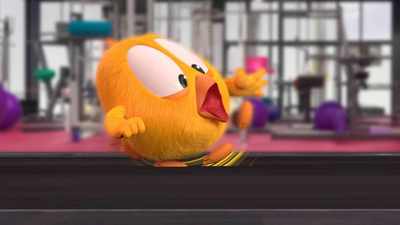 Entrenamiento de Chicky | ¿Dónde está Chicky? | Pollito pio | Colección ...