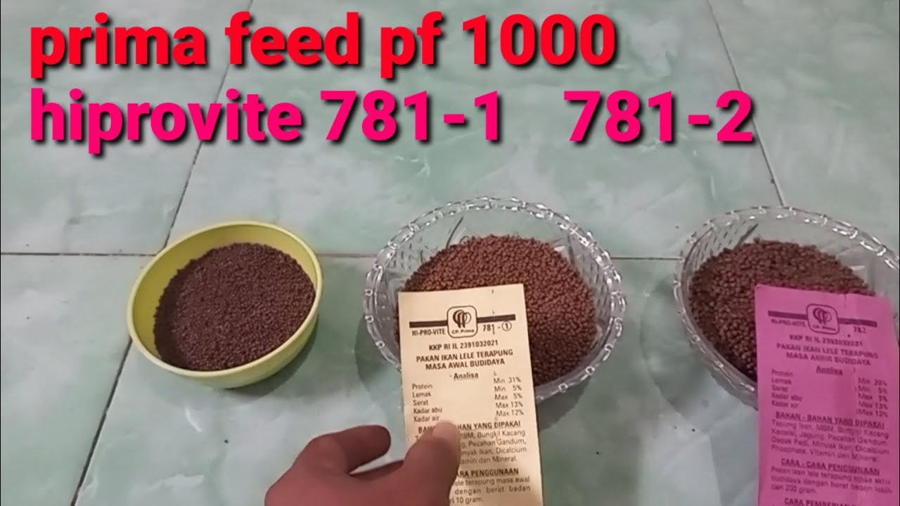 perbandingan prima feed pf 1000 hi pro vite 781-1 dan 781-2 - YouTube