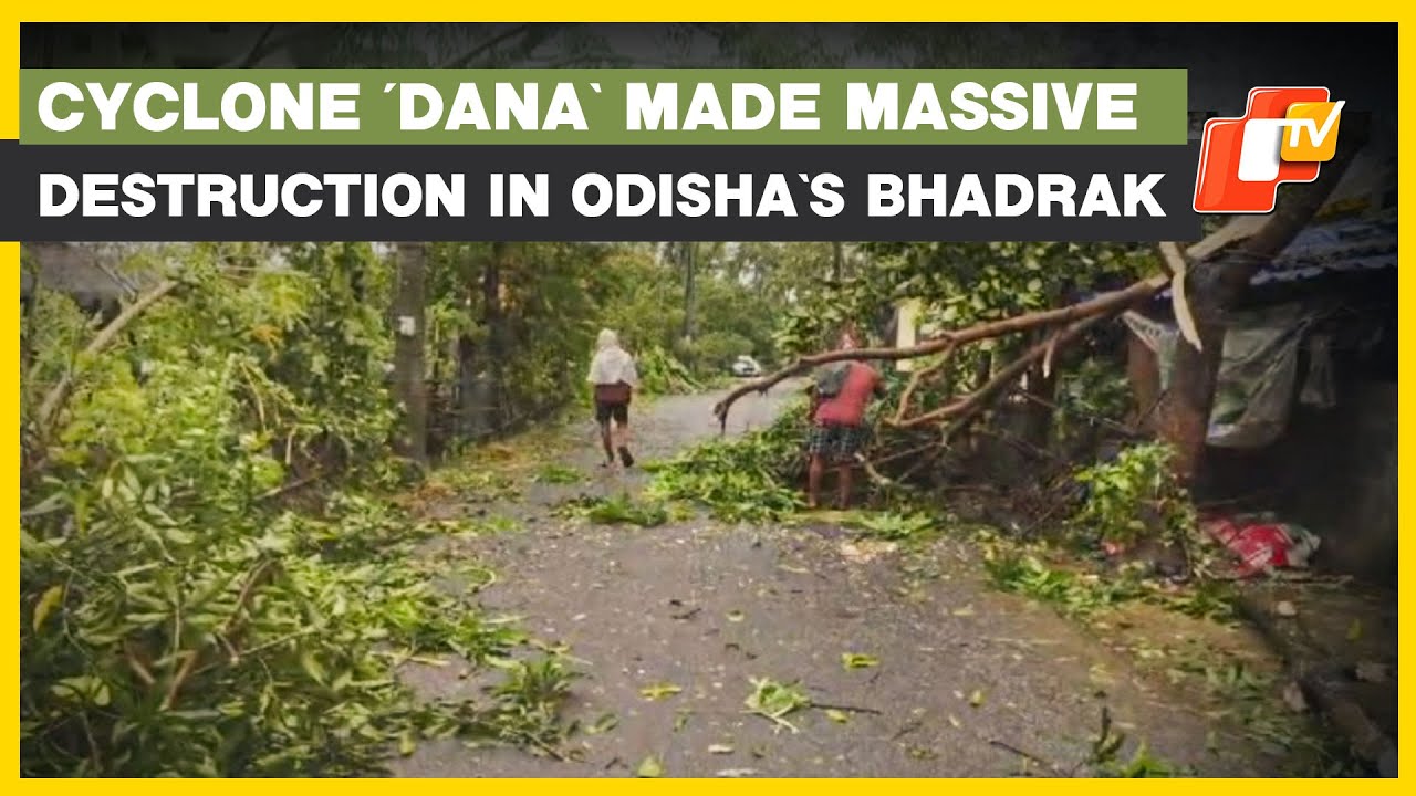 Cyclone ‘Dana’ Aftermath: Massive Destruction In Odisha’s Bhadrak After ...
