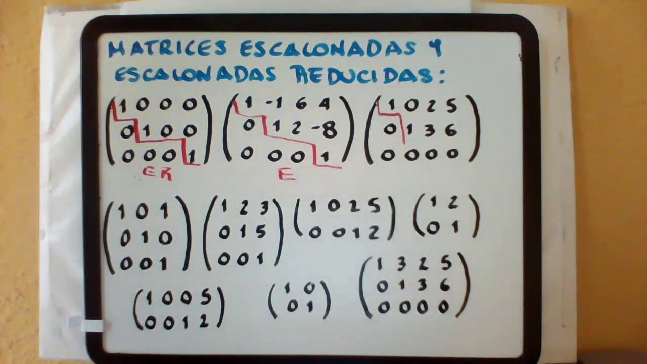 Matrices Escalonadas y Escalonadas Reducidas - YouTube