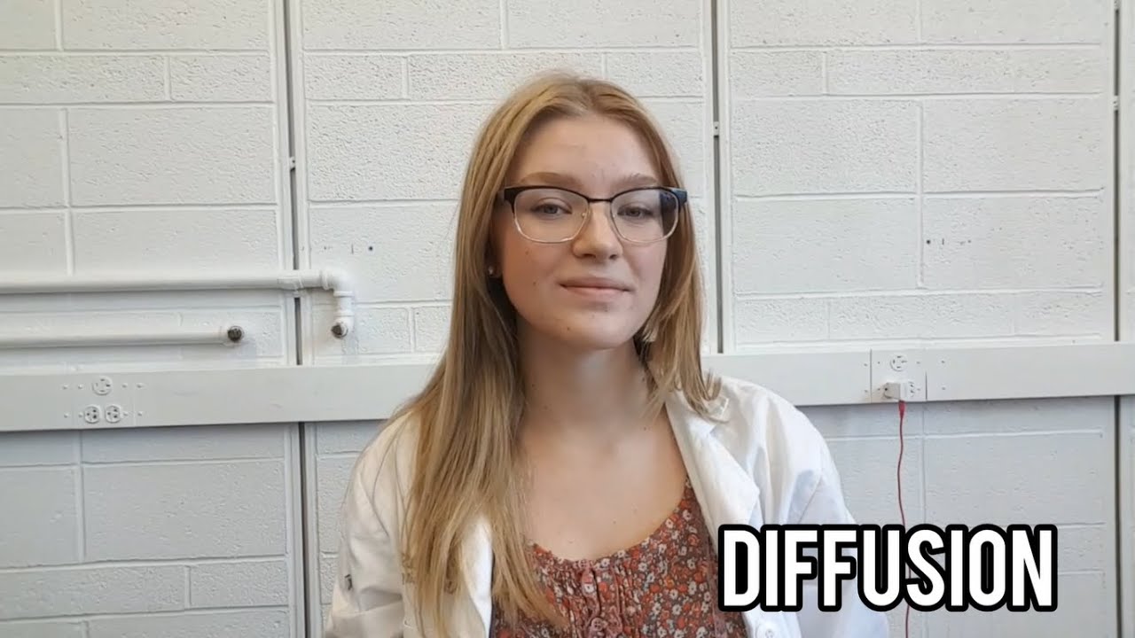 Dialysis Diffusion - YouTube