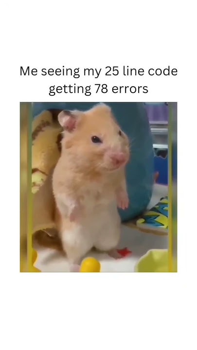 Every developer nightmare, code errors #shorts #developer #programmer #software - YouTube