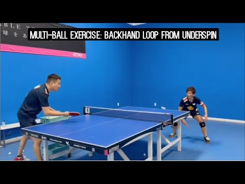 Butterfly Training Tips with Wang Hui - Backhand Loop Against Underspin - YouTube