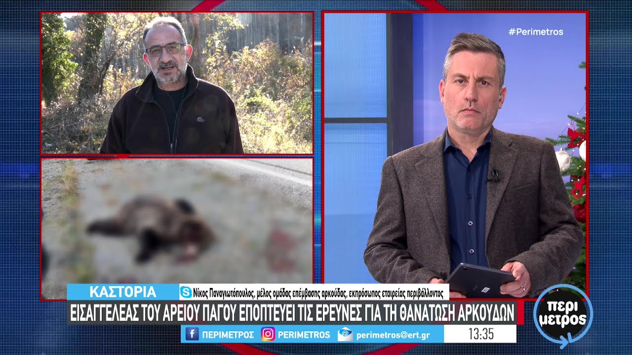 Εισαγγελέας του Αρείου Πάγου εποπτεύει τις έρευνες για τη θανάτωση ...