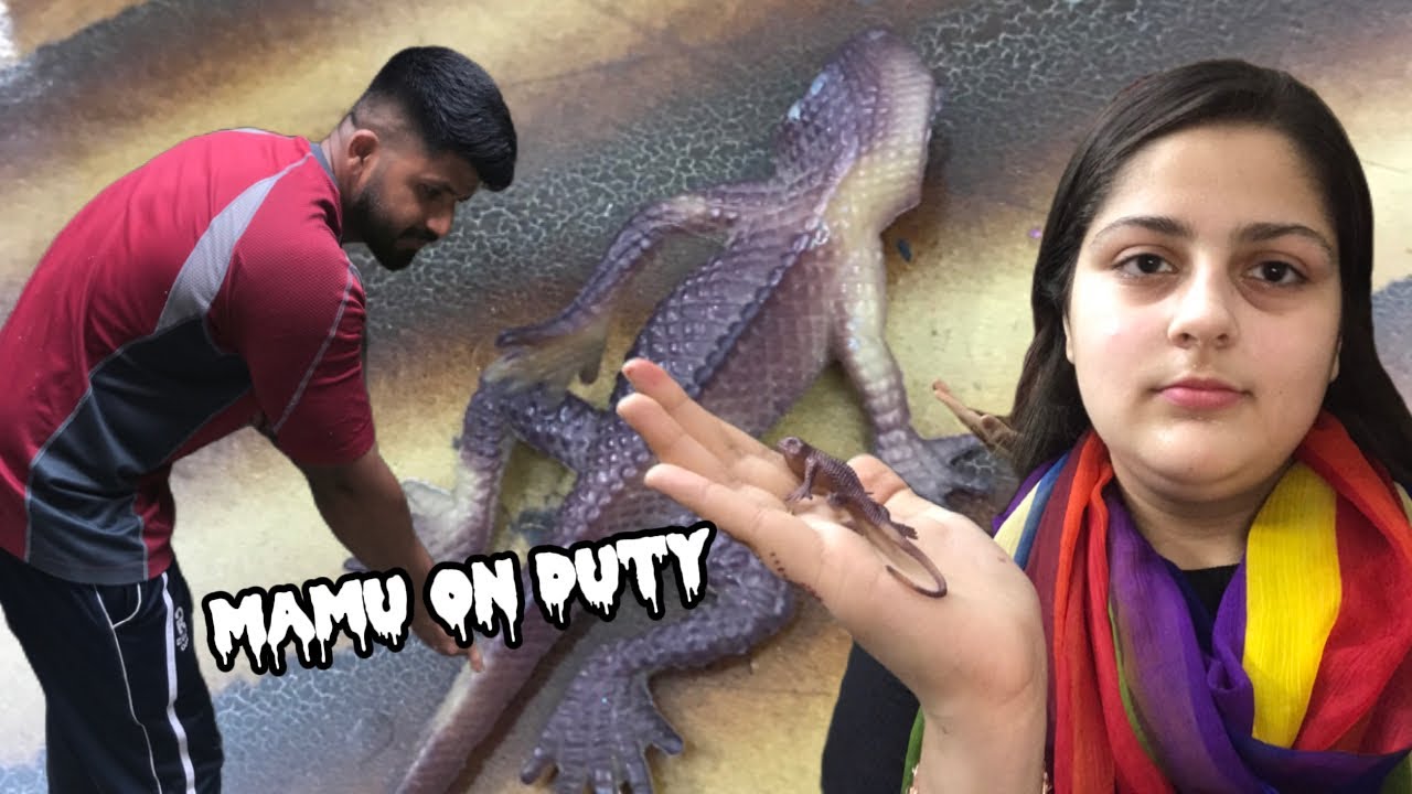 Lizard prank 😉| prank flop ho gaya😭 || - YouTube
