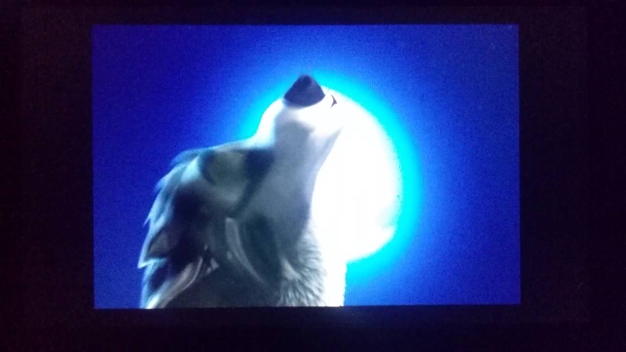 Alpha and omega moonlight howl - YouTube