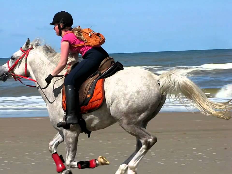 arrash in rengalop! - YouTube