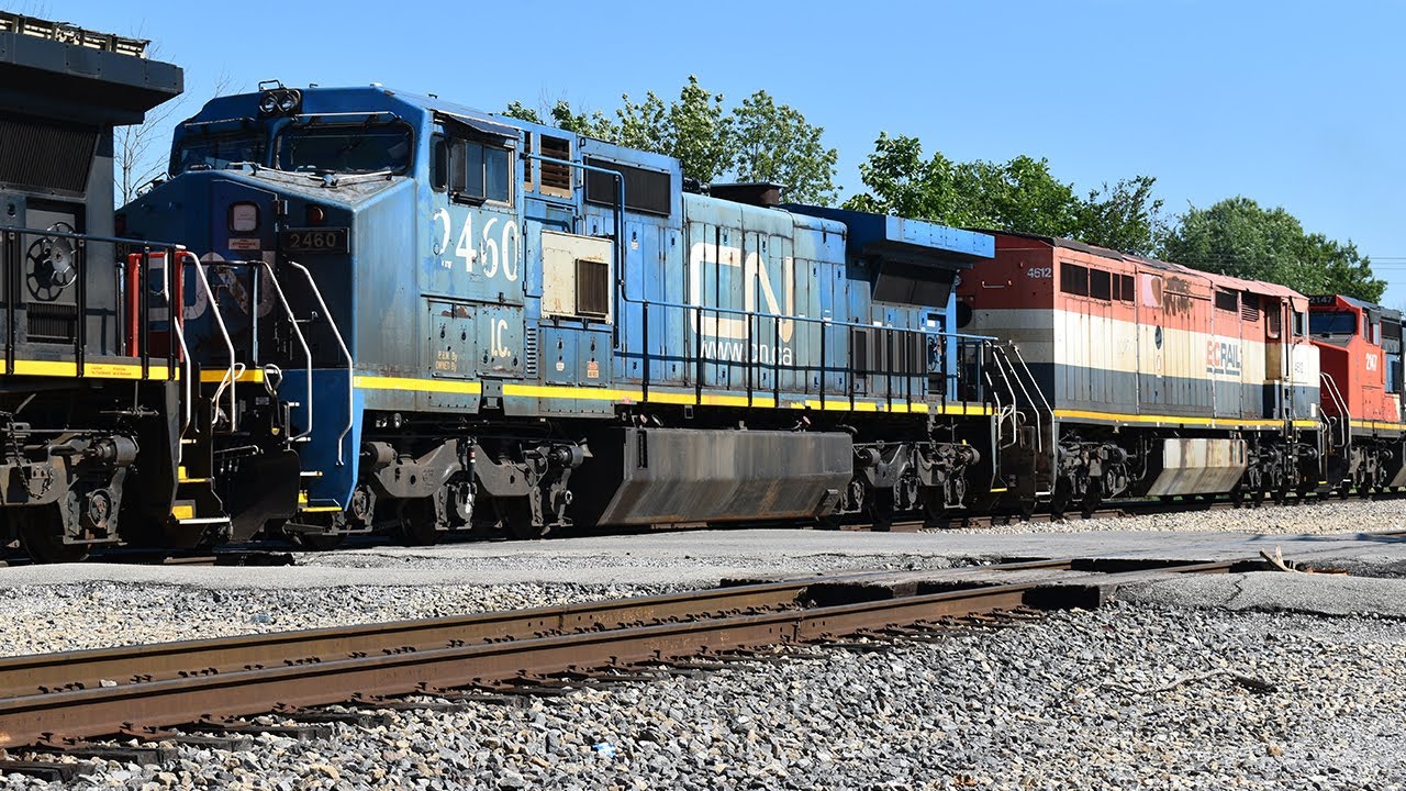 NS 4559 South with IC, CN, and BCOL Locomotives - YouTube