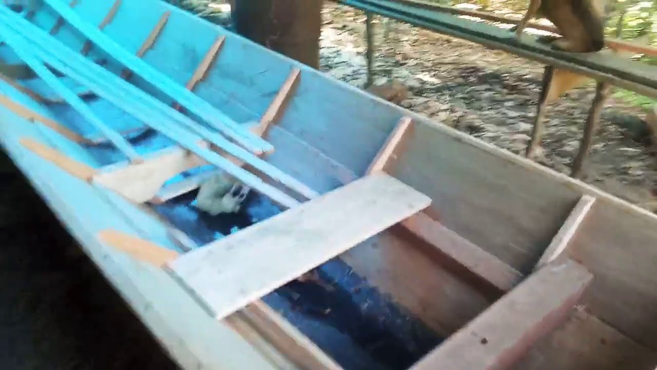 Perahu ukir buatan Dayak long gelat - YouTube