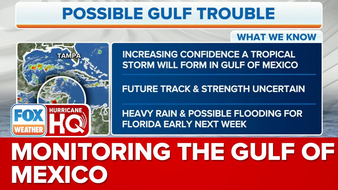 Florida EMA Director: We're Prepping As If We Were Going To Get A ...