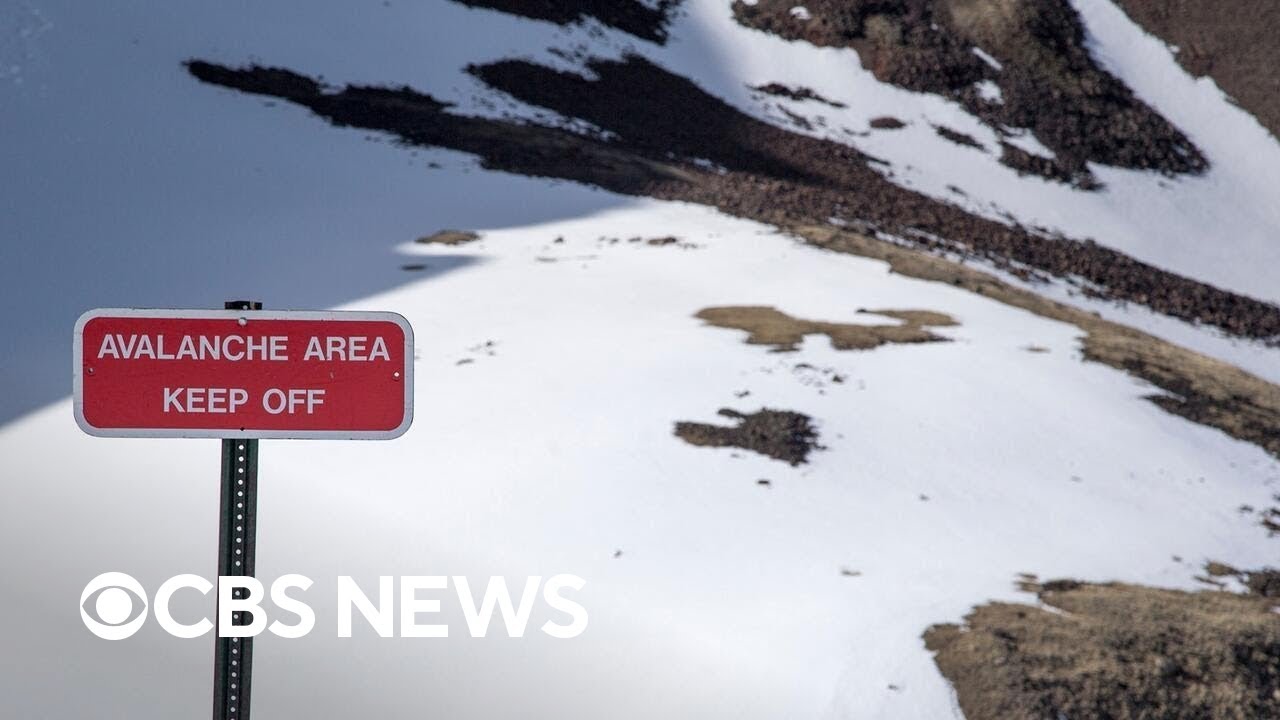How avalanches form and what to do if you find yourself in one - YouTube