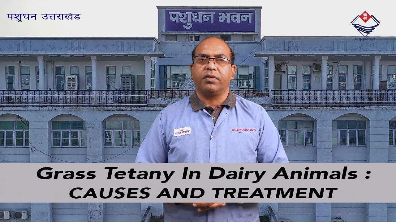 Grass Tetany | Causes, Symptoms and Prevention | Pashudhan Uttarakhand ...