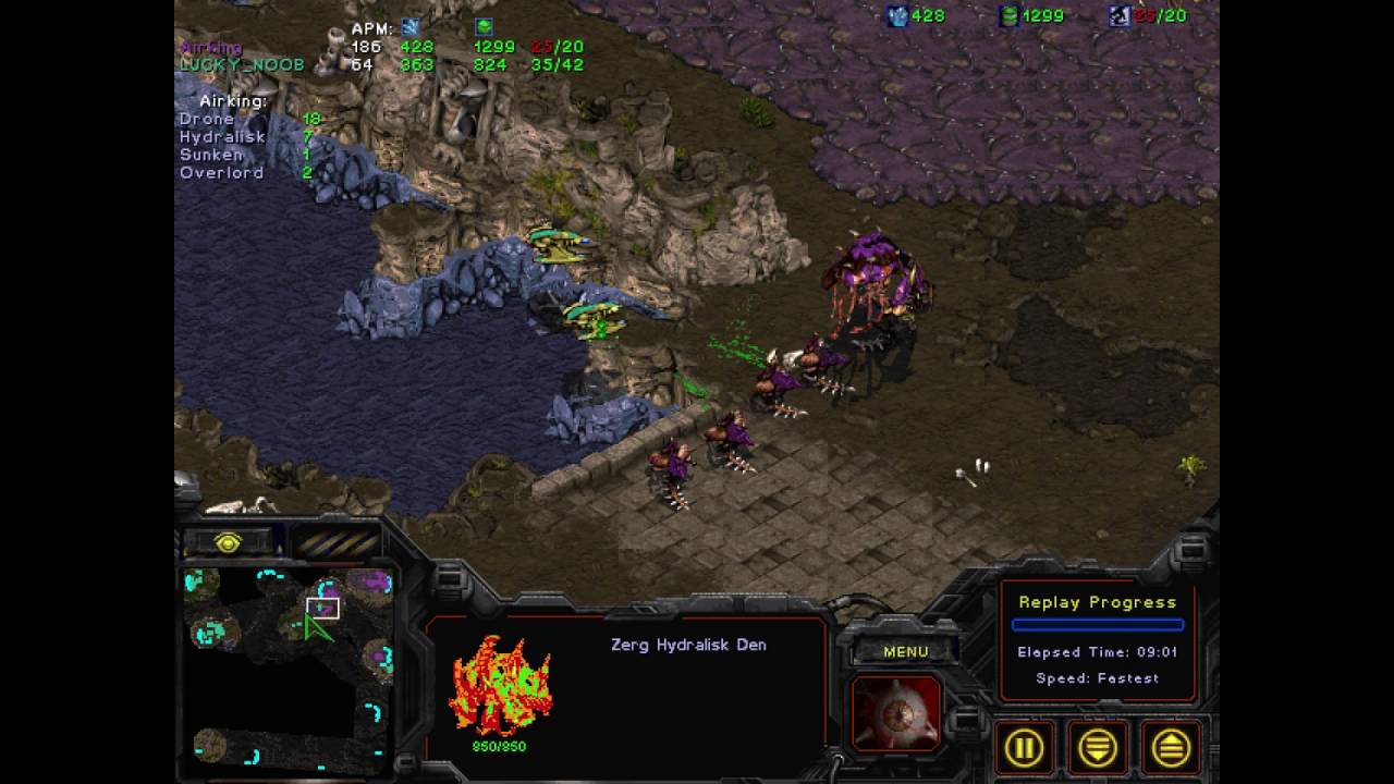 Starcraft Brood War - Vidrep 73 - Evolutionary Dead-End - YouTube