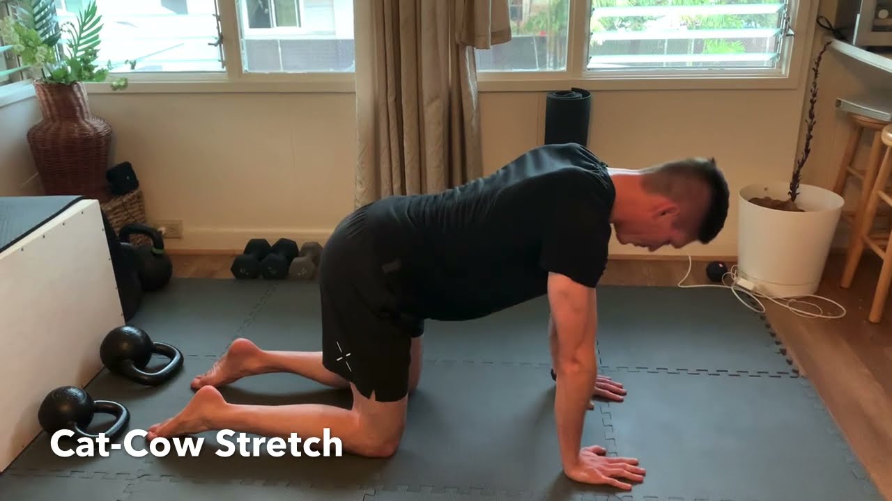 Cat-Cow Stretch | Thoracic Mobility Exercises | - YouTube