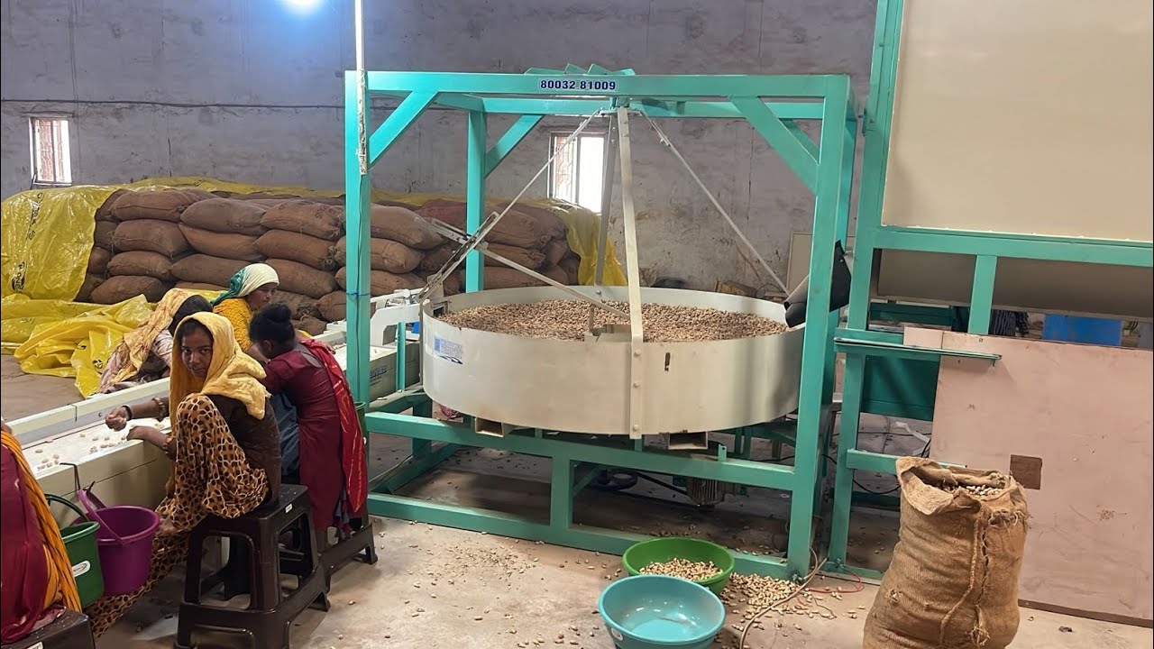 grading machine | groundnut grading plant | grading and cleaning ...