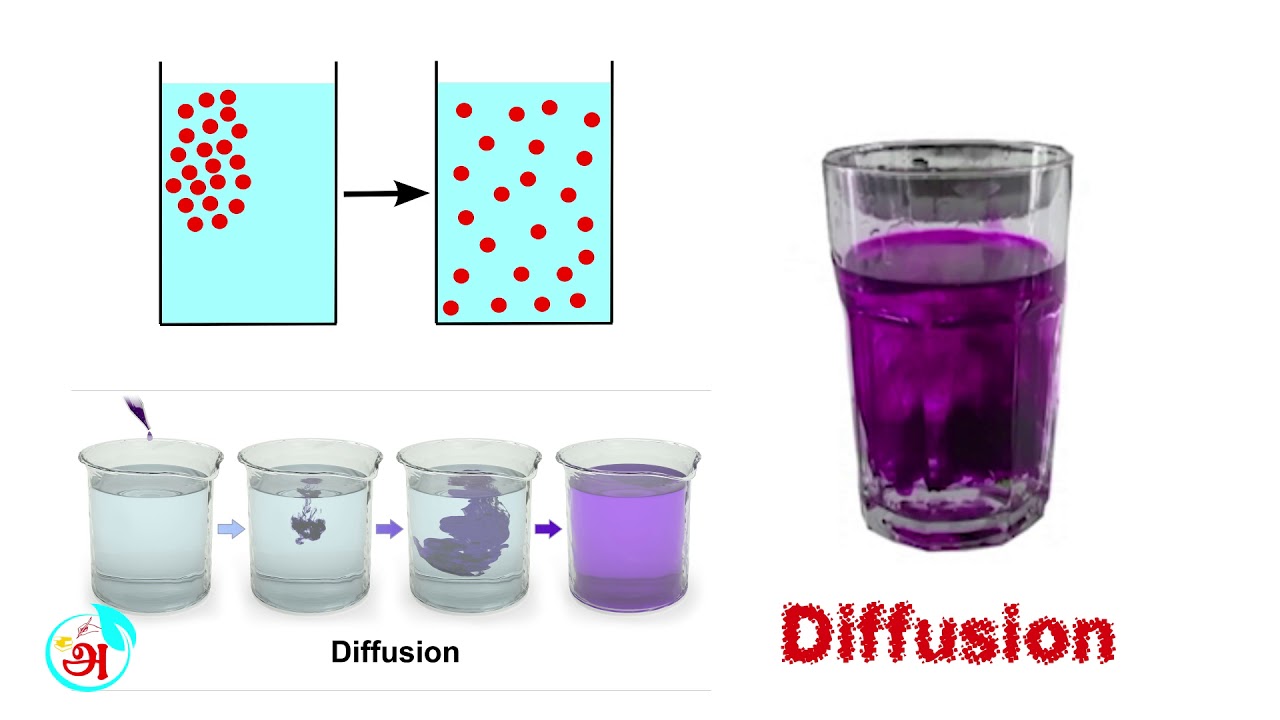 What is Diffusion? | Tamil | Arivu thedal - YouTube