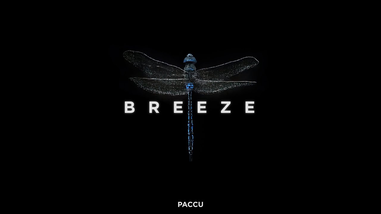 Paccu Breeze Youtube