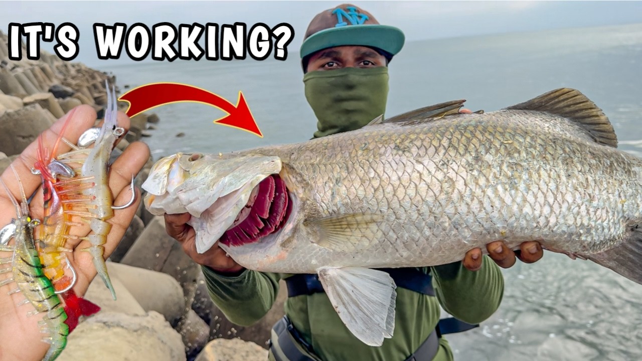Astonishing Strike! One of the Most Impressive Barramundi Catches on ...