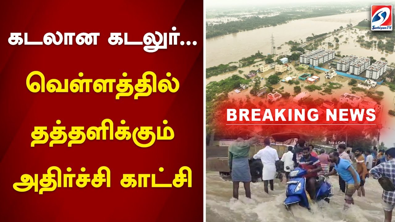 கடலான கடலுர்... வெள்ளத்தில் தத்தளிக்கும் அதிர்ச்சி காட்சி | Kadalur ...