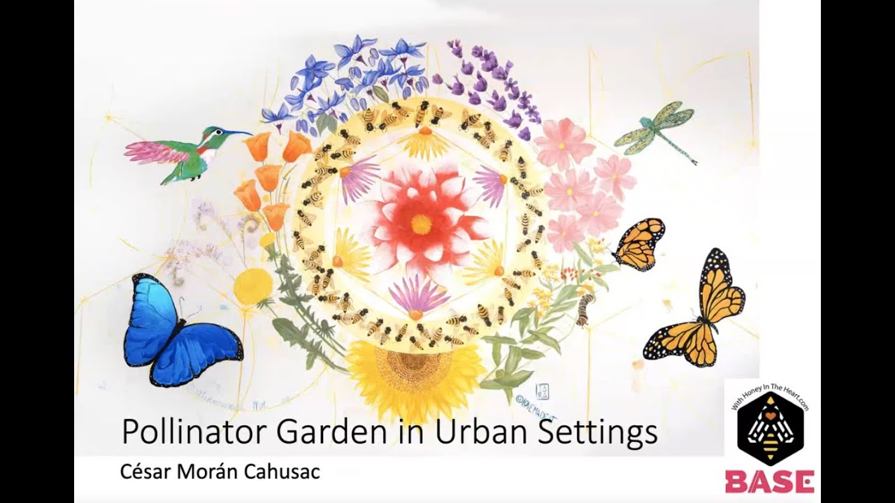 IPM Meeting: Pollinator gardens in urban settings: IPM approach and ...