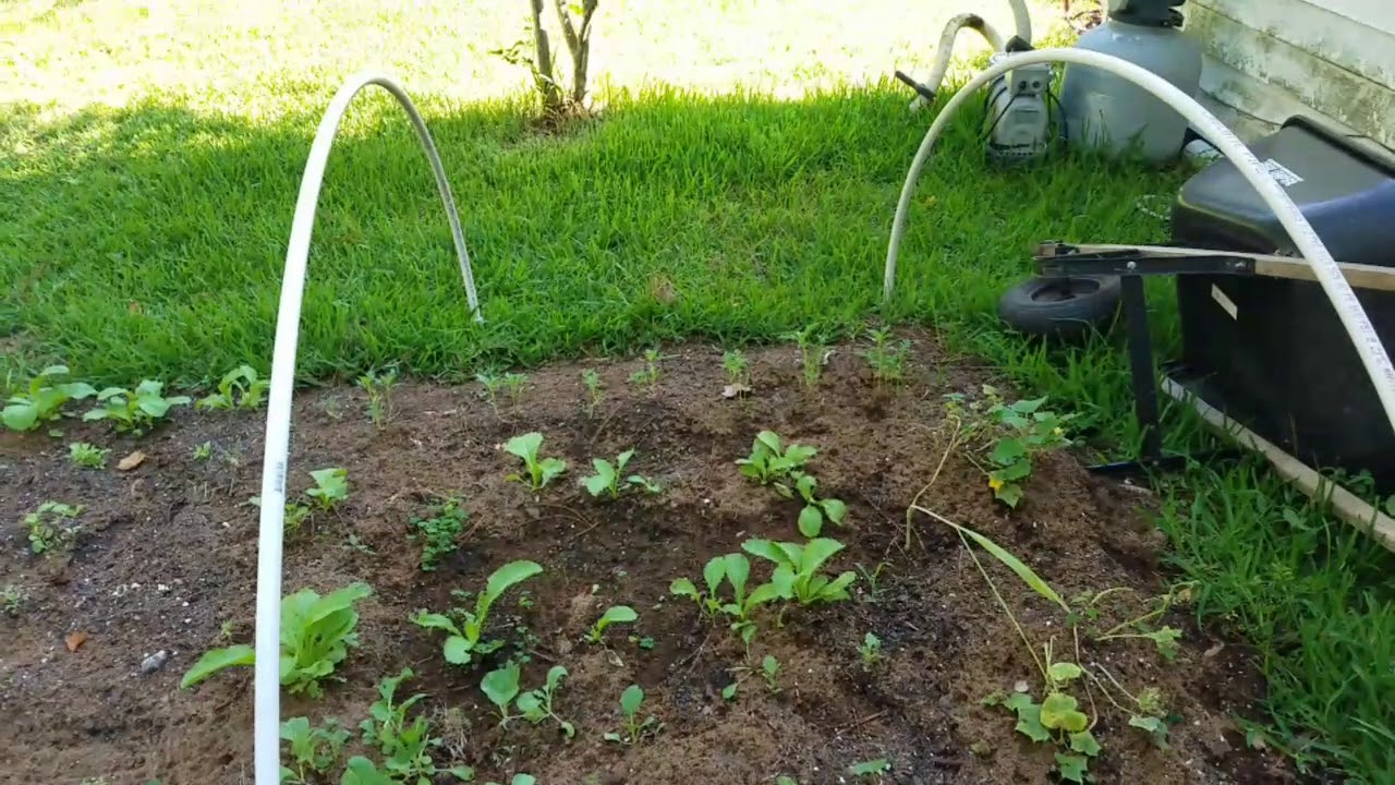 How to install garden rings GG Naturals Homestead🌻 - YouTube