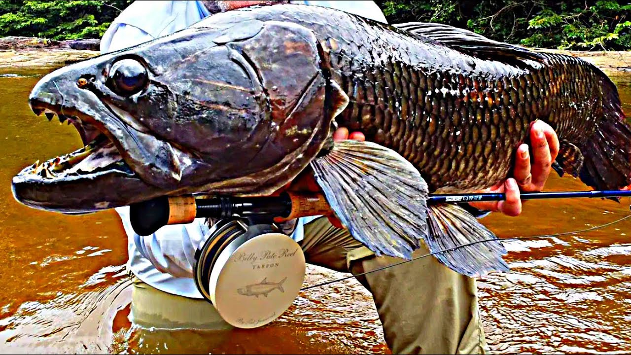 THE MOST SATISFYING VODEO | GUTTING 5 HUGE FISH - YouTube