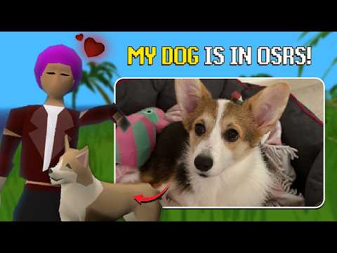 I Got My Real-Life Dog in RuneScape!