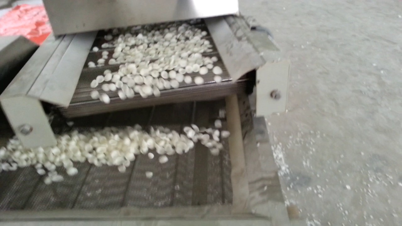 modified starch processing line in India - YouTube