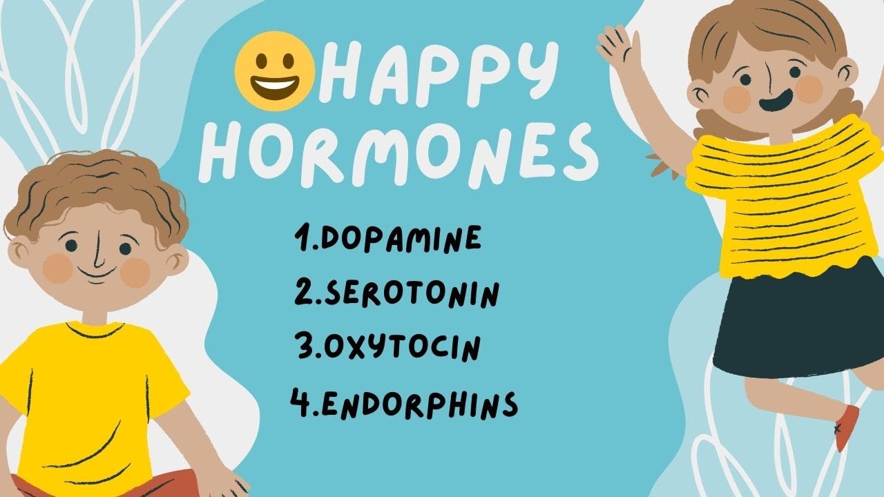 Happy hormones learning for kids - YouTube
