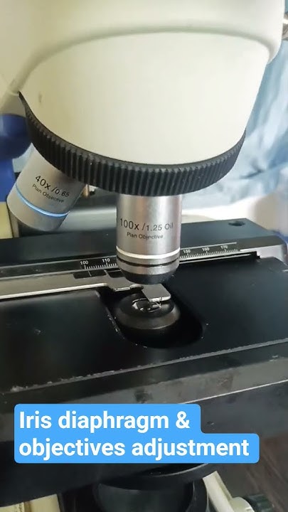 Step by step iris diaphragm adjustment with microscope objectives, 🔬#Microscopy#lab #shorts # ...