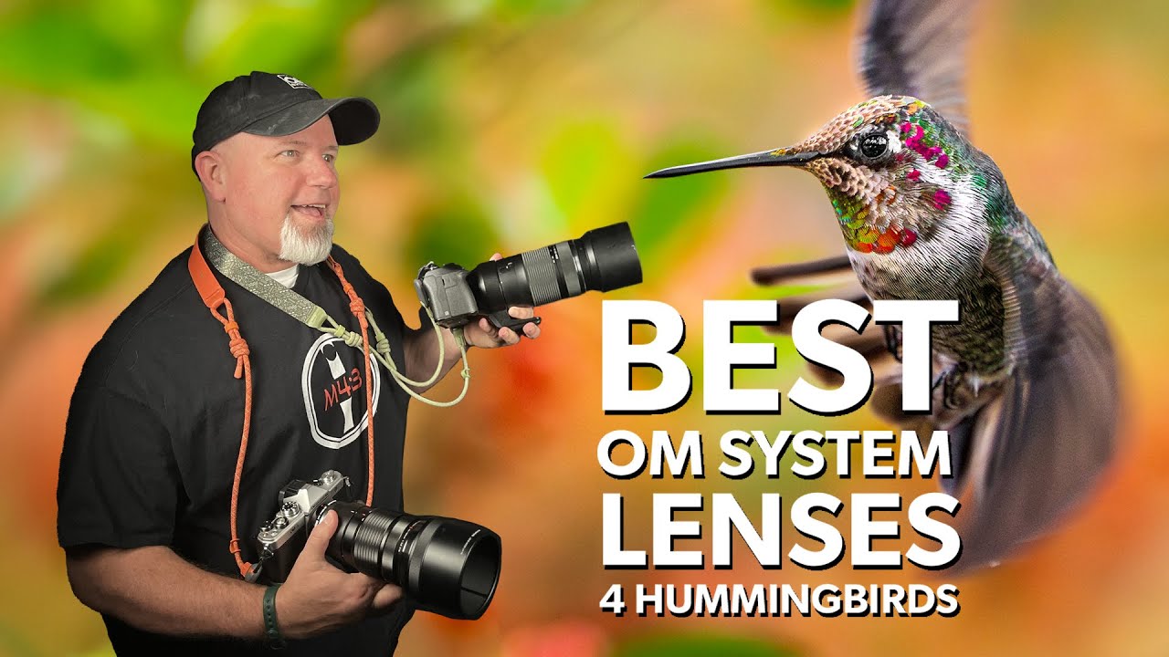 Best OM Lenses for Hummingbird Photography – Micro Four Thirds Gear ...