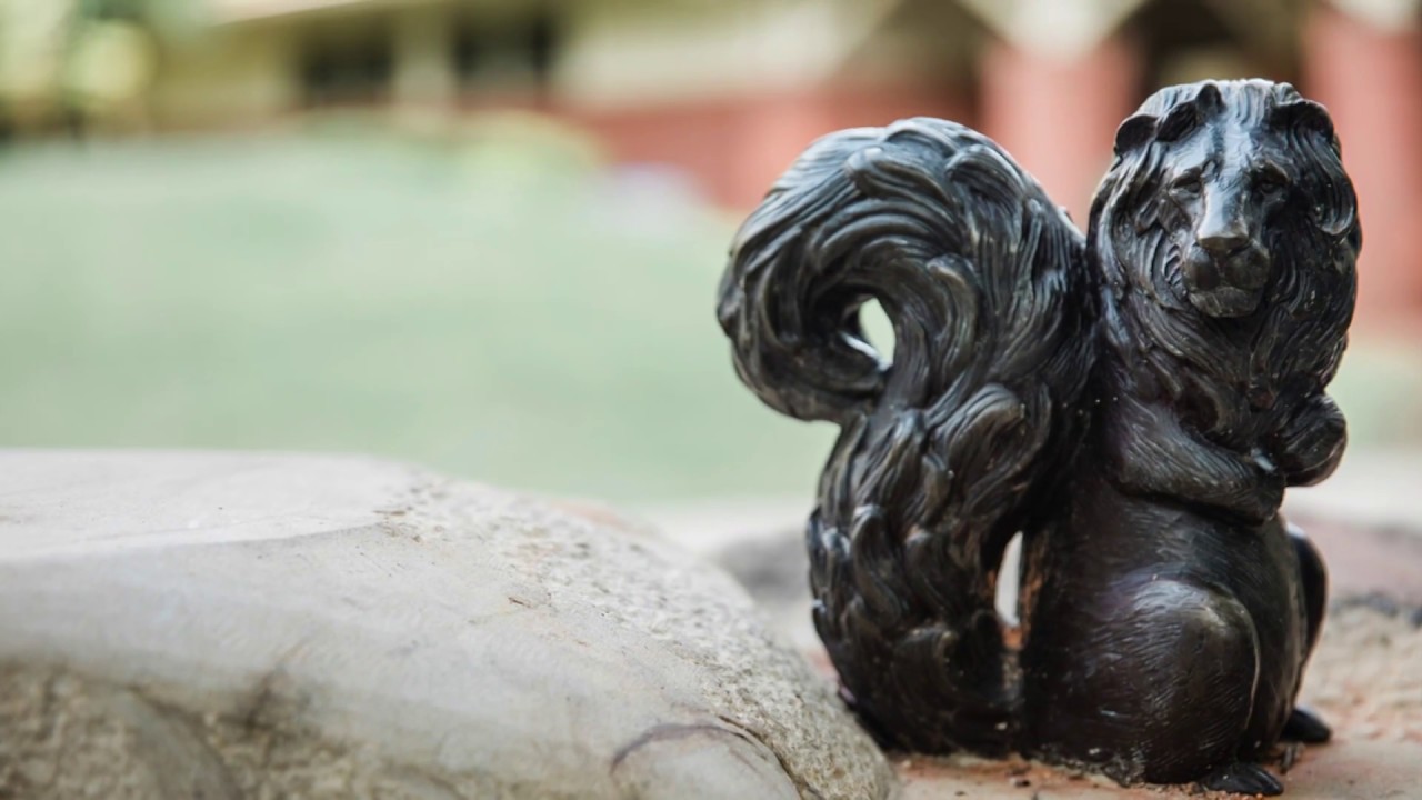 The tail of the Squion - YouTube