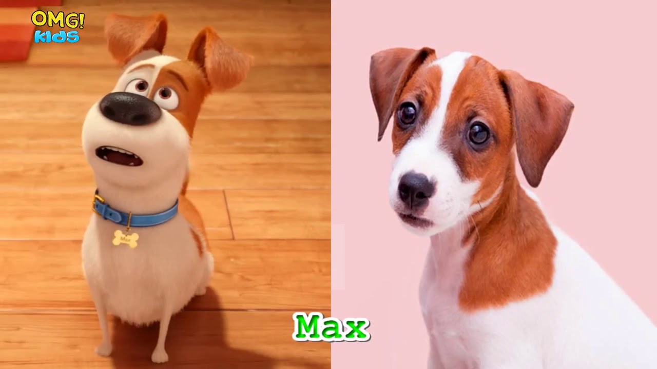 The Secret Life of Pets In Real Life All Characters 2018 OMG Kids - YouTube
