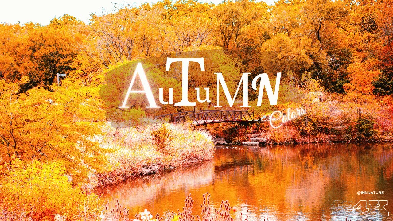 4k relaxation nature autumn photography film with meditation music ...