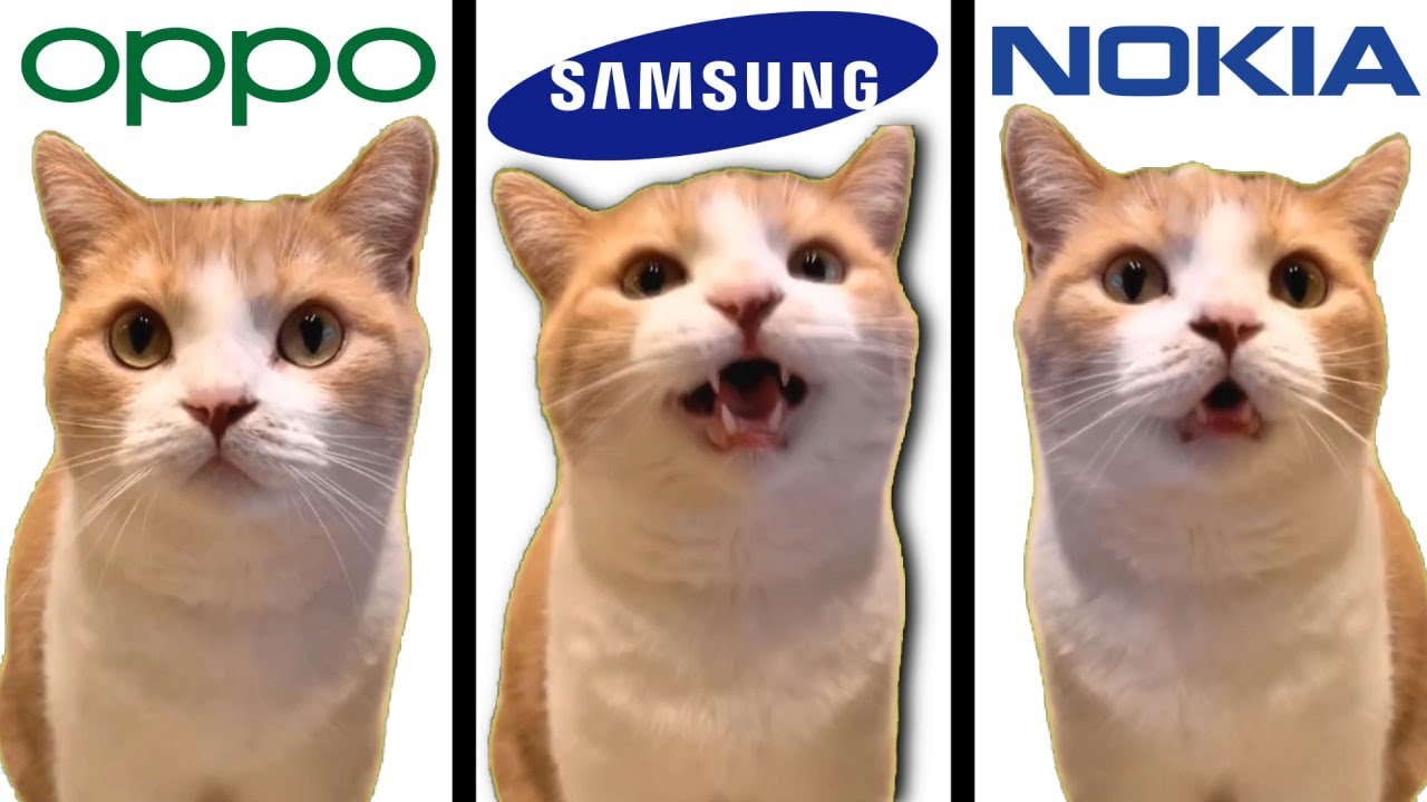 Cute Cat Meows but famous phone ringtones - YouTube