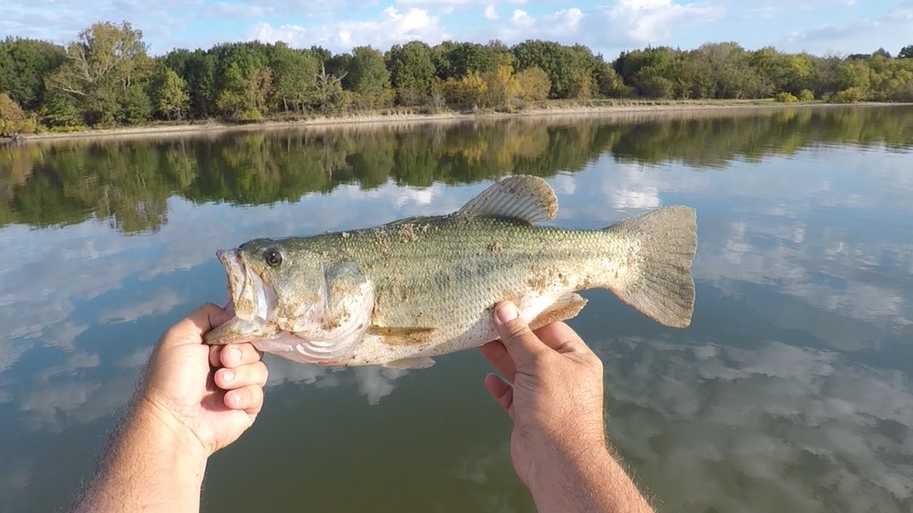 Custom Painted Lures Challenge! Bomber 4A and Flat A Got It Done ...
