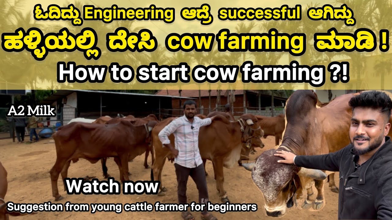 ಓದಿದ್ದು Engineering ಆದ್ರೆ Successful ಆಗಿದ್ದು Cow-farming ಮಾಡಿ|How to ...