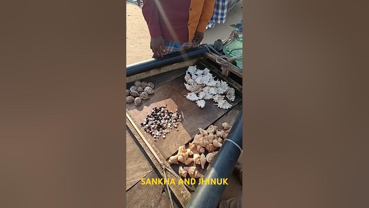 SANKHA AND JHINUK - YouTube