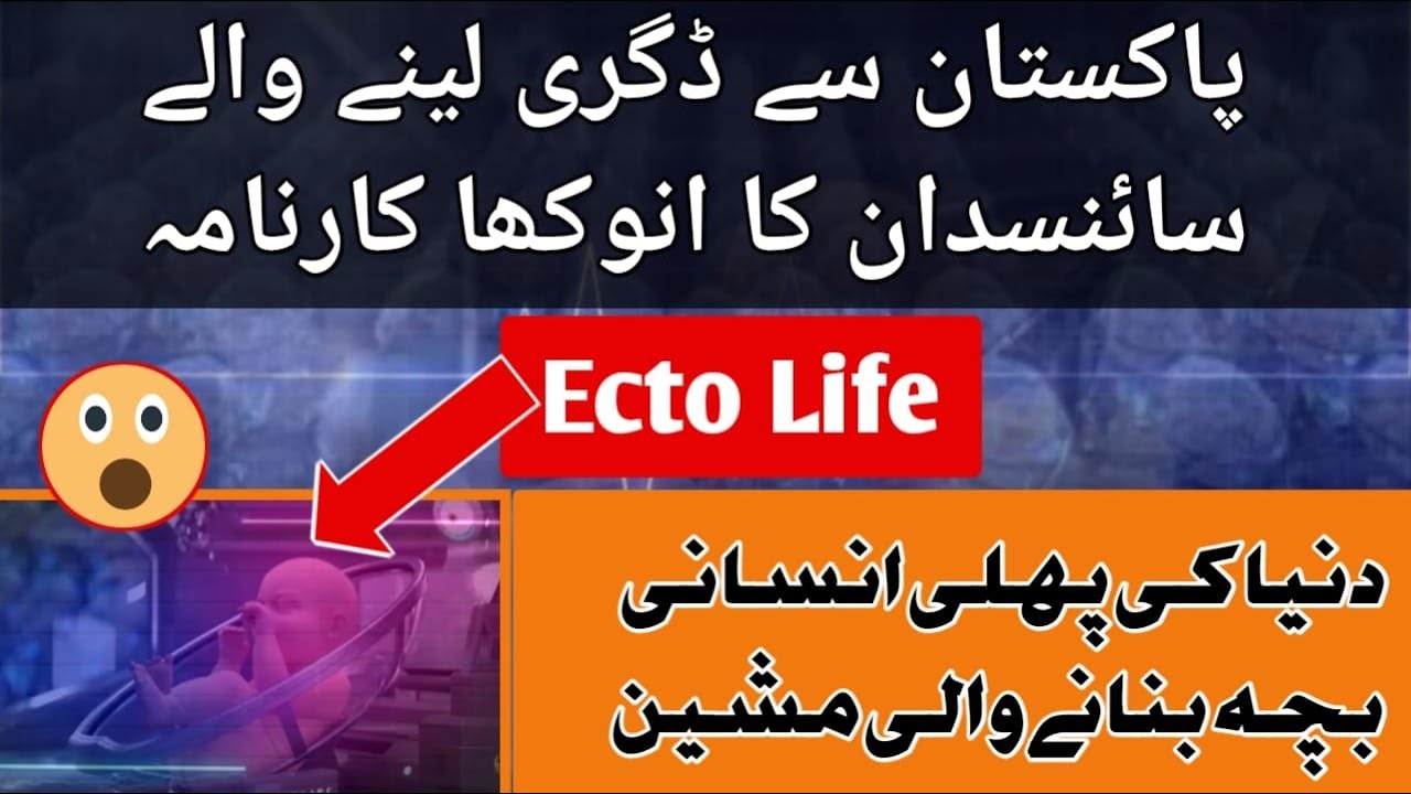 Ecto life: This Was Unexpected!! || Ecto life Explained - Why Ecto life ...