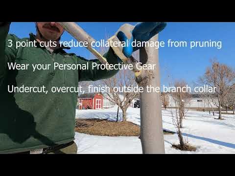 How to Perform the Three Point Cut - YouTube