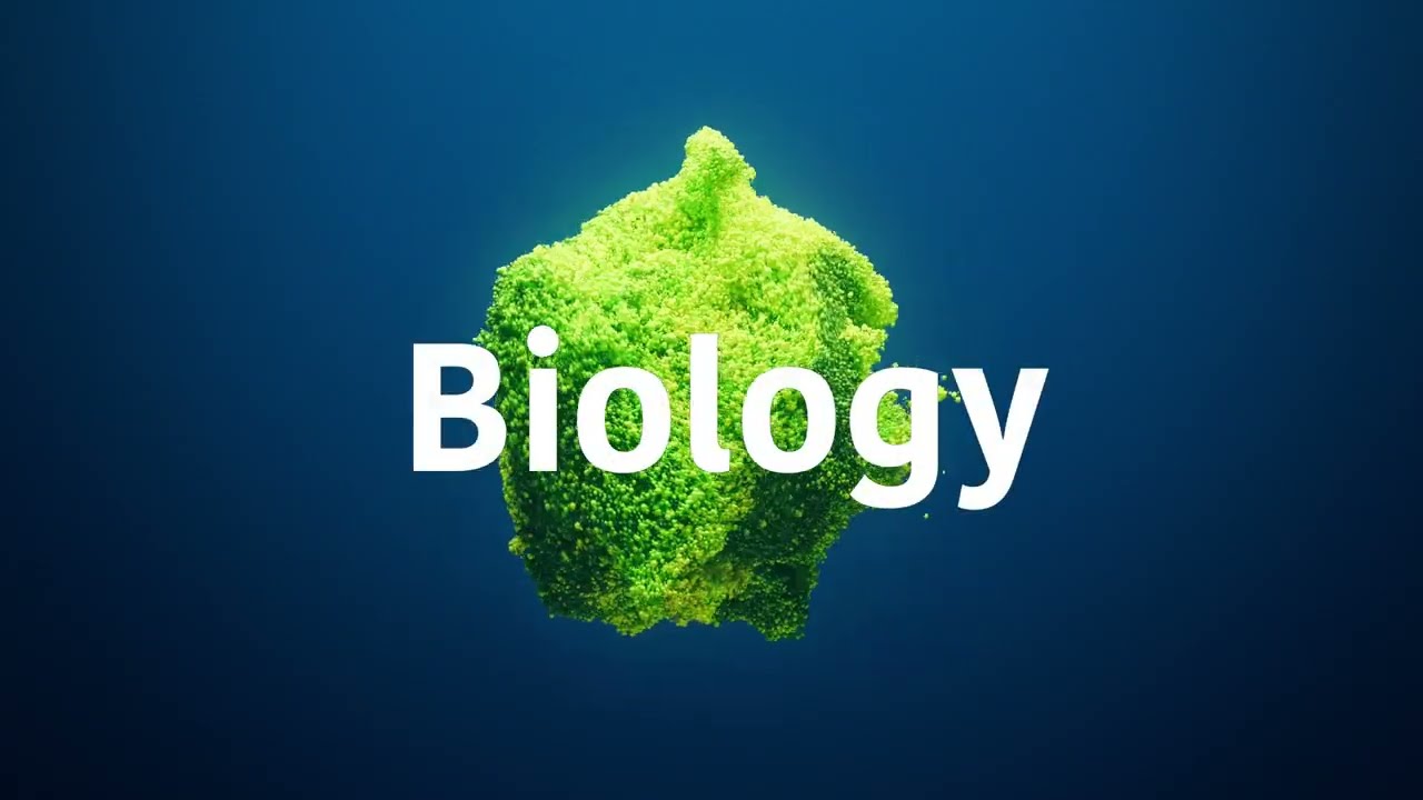 What Is Biology Simple Definition 4K Science Biology YouTube what-is-biology-simple-definition-4k-science-biology-youtube