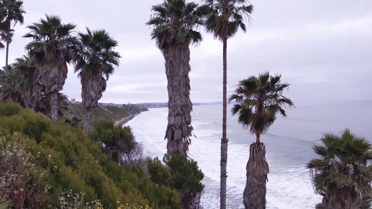 🌊 ️🌊 JEFFREY BRADAC IS AT..THE SWAMI'S!!🌊 ️🌊 - YouTube