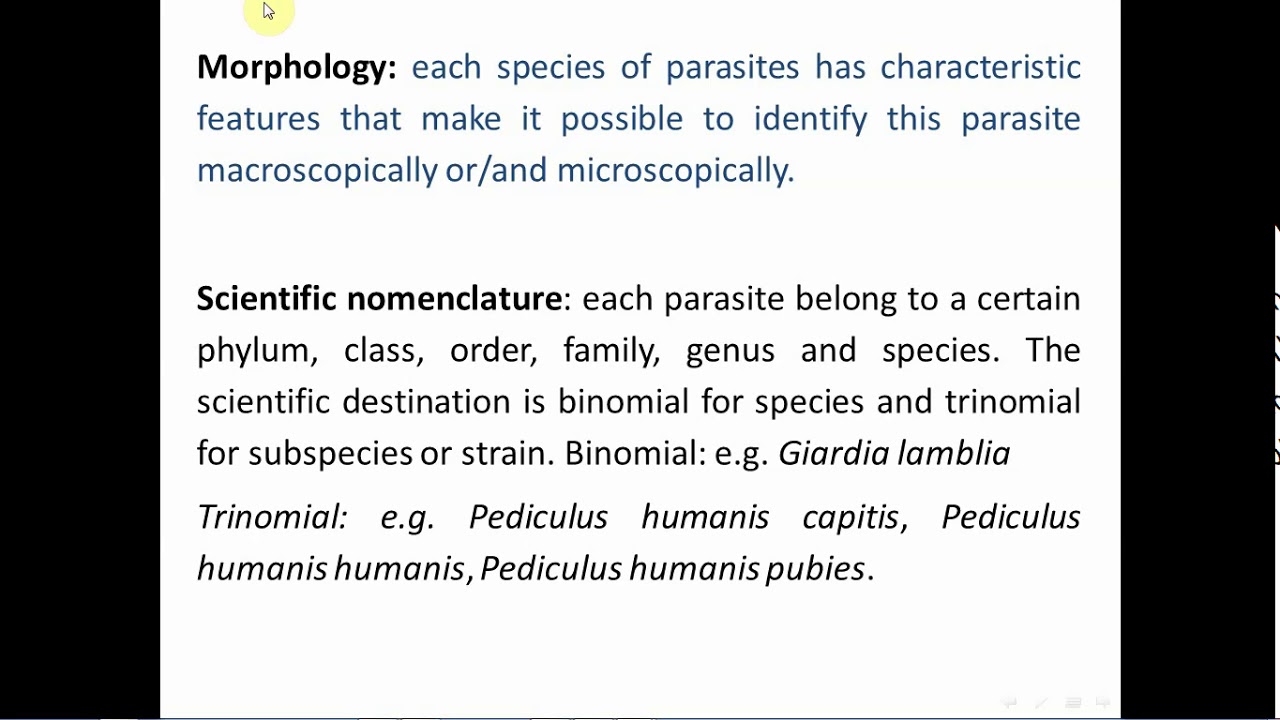 Micro. Parasitology Lec.1 part 2 - YouTube