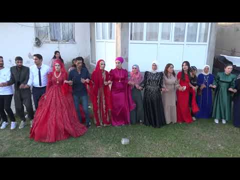 feyat ardil delilo halay ağrı diyadin düğünleri