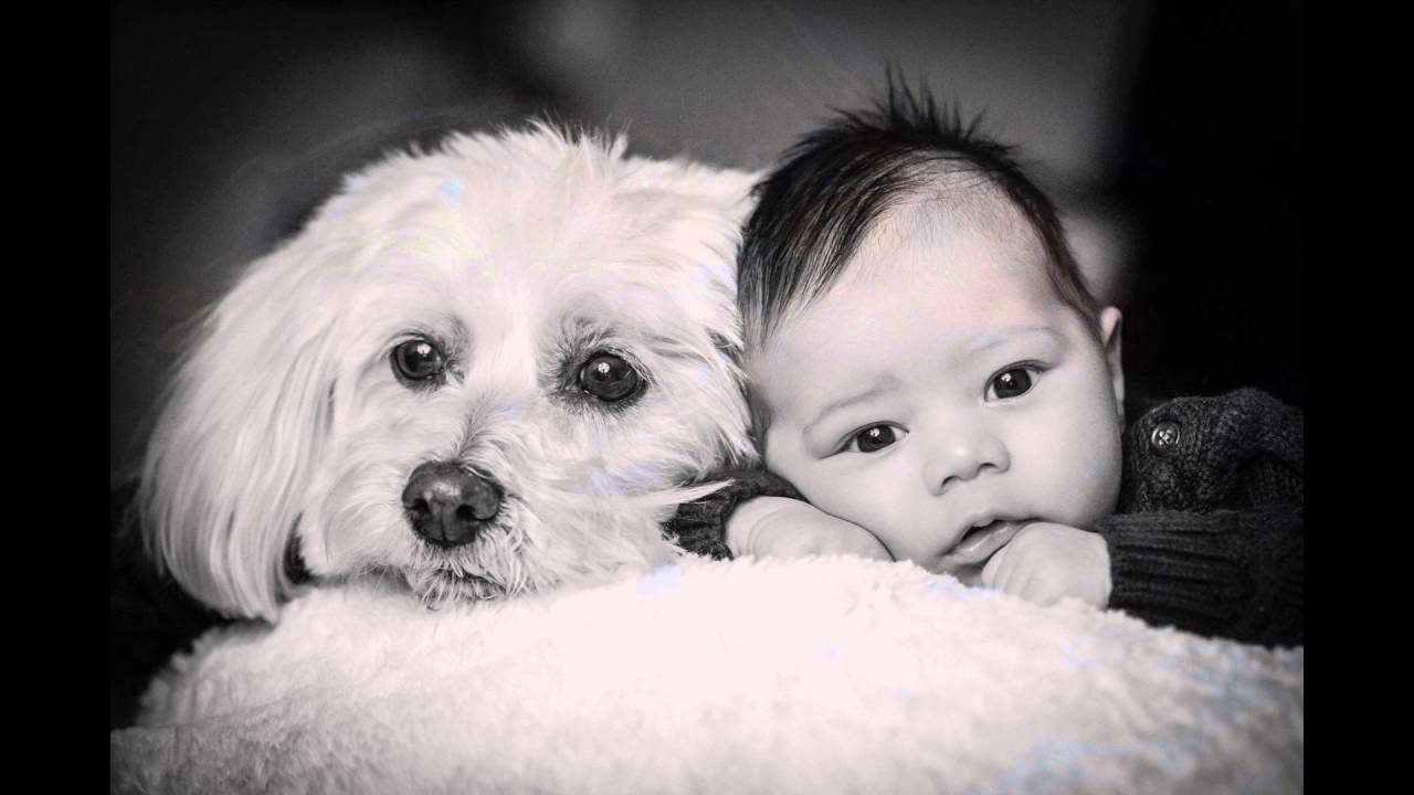 Andrew samples - YouTube